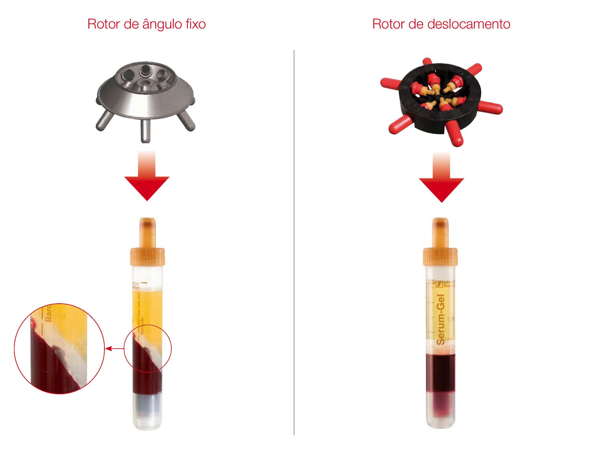 Dica do mês: Centrifugação - Sarstedt