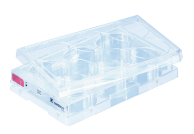 Plaque de CT 6 puits, standard,F - Sarstedt