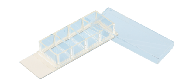 4-well on lumox® detachable - Sarstedt